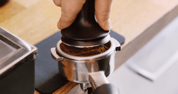 your everyday companion perfect for any moment or mood everyday ...